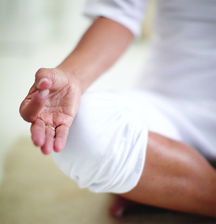 Maya Method – Maya Fiennes